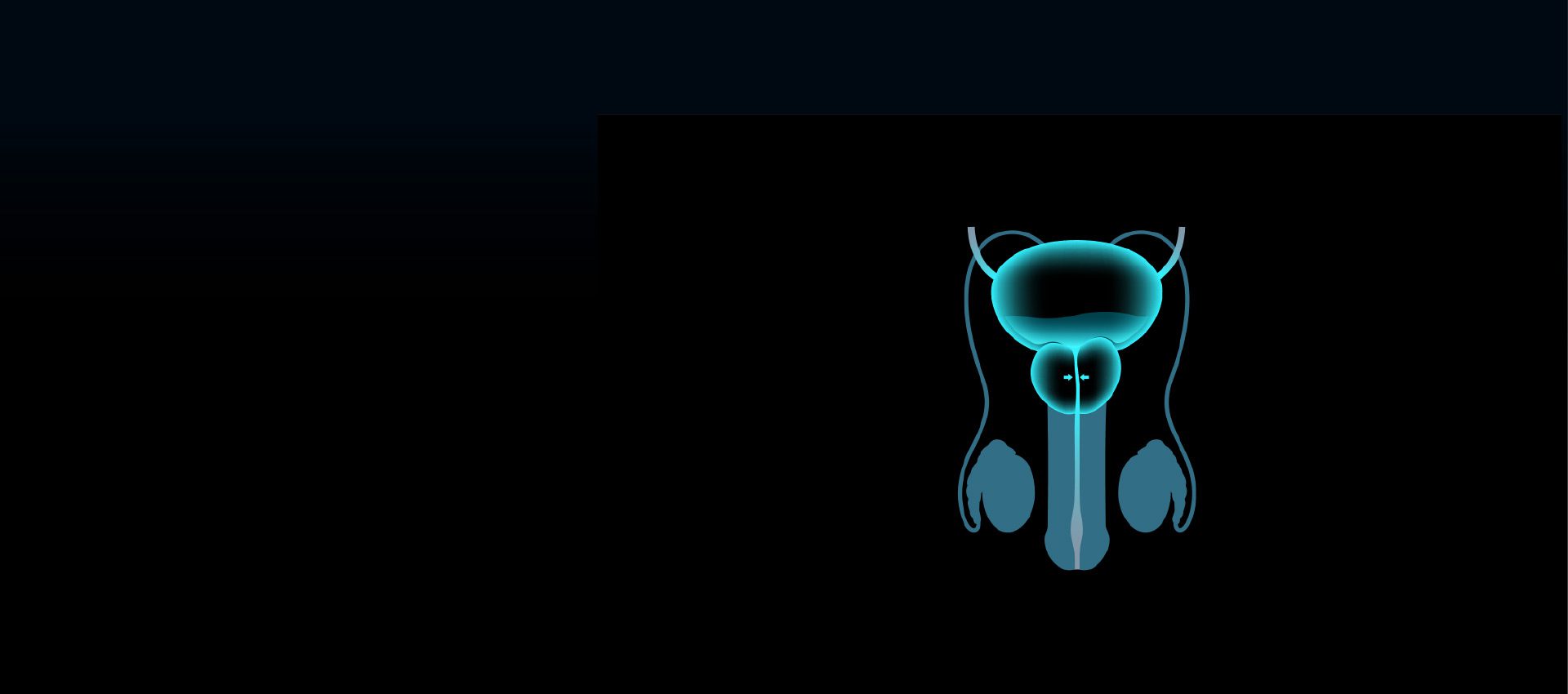 Urologist | Dr. Akhil K. Das ﻿| BPH & Lower Urinary Tract Dysfunction Specialist | UCI Urology